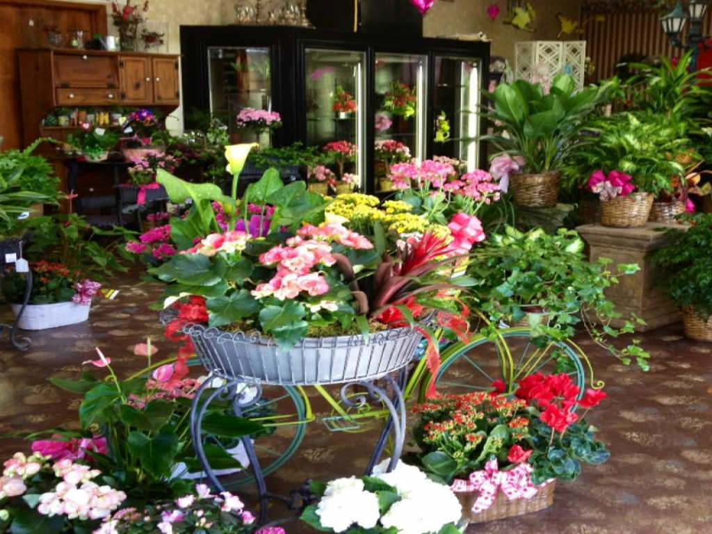 The Real Flower - World of Flowering Plants