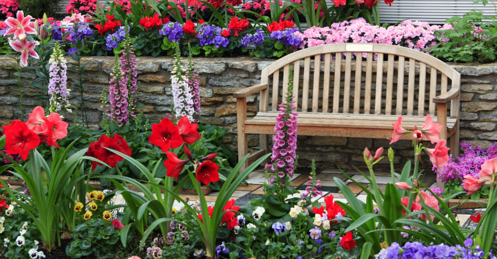 How to Grow Flowering Plants - World of Flowering Plants