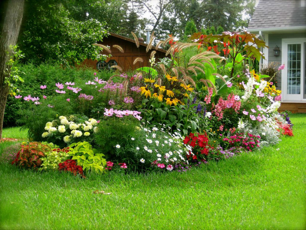 10 Steps to a Magnificent Garden - World of Flowering Plants