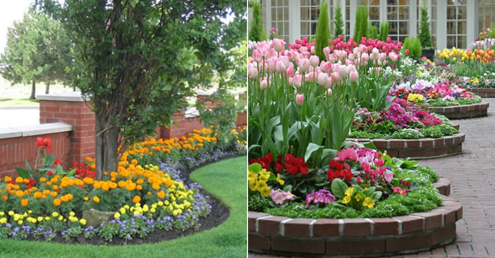 How to Build a Flower Bed - World of Flowering Plants